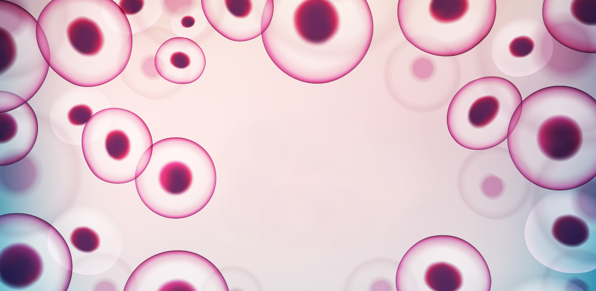 Los Angeles Intradiscal Injections | OrthoBiologics, BMAC | Woodland ...